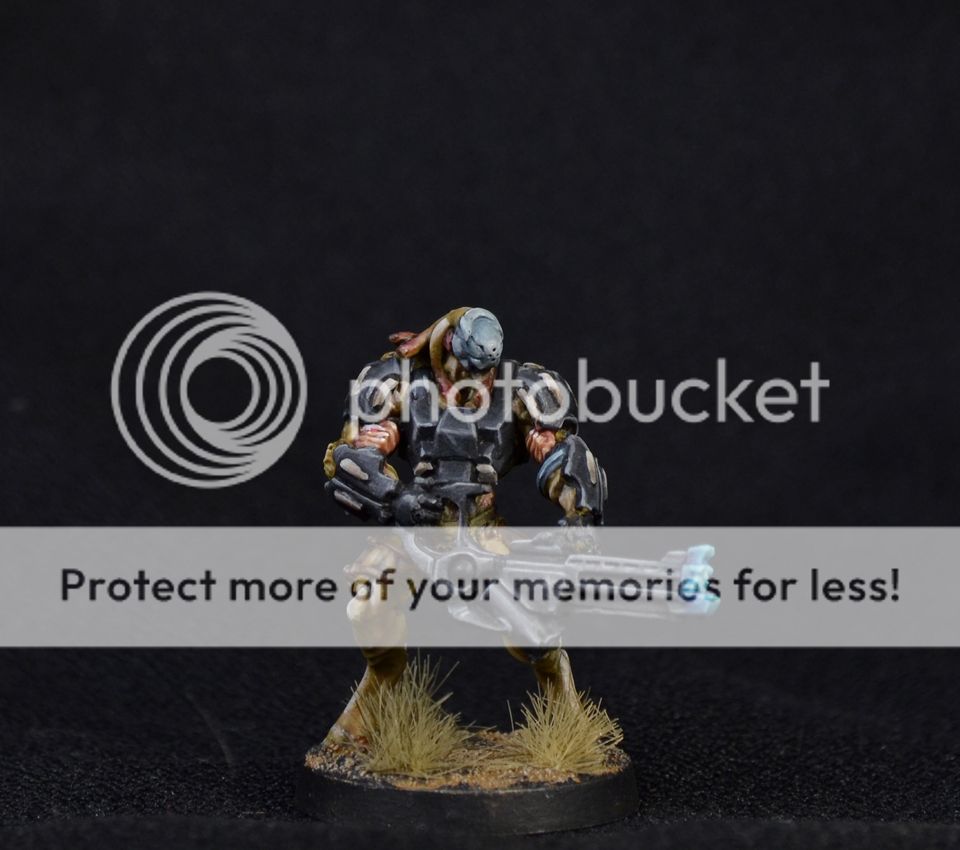 _Tim? paints Infinity Tohaa! - Forum - DakkaDakka